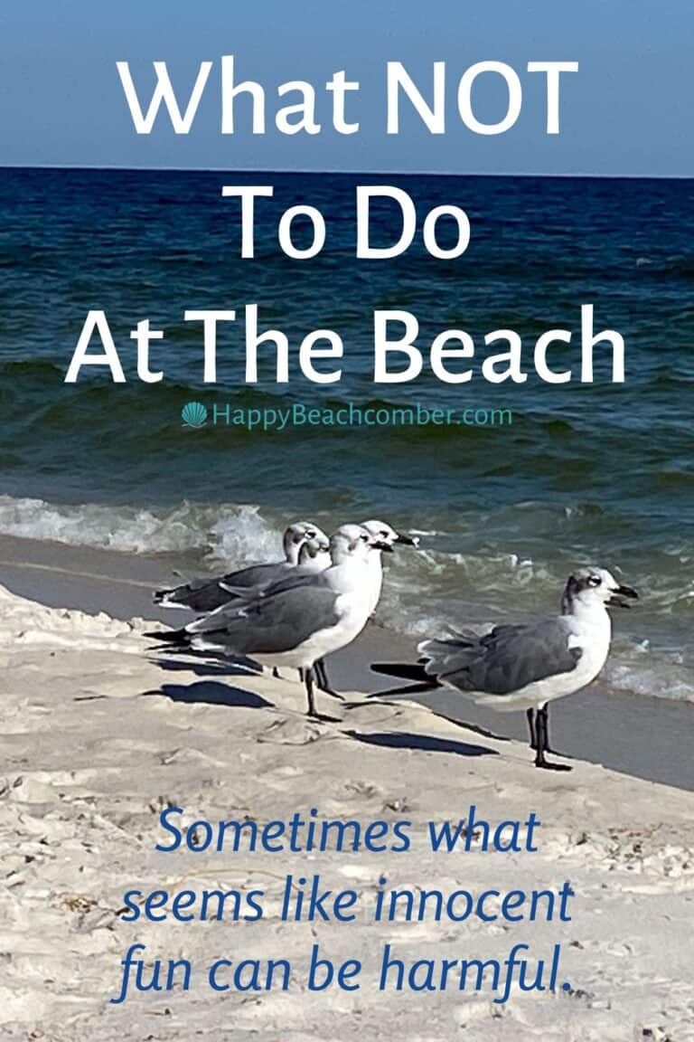 What NOT To Do At The Beach - Why Your Fun May Be A Really Bad Idea