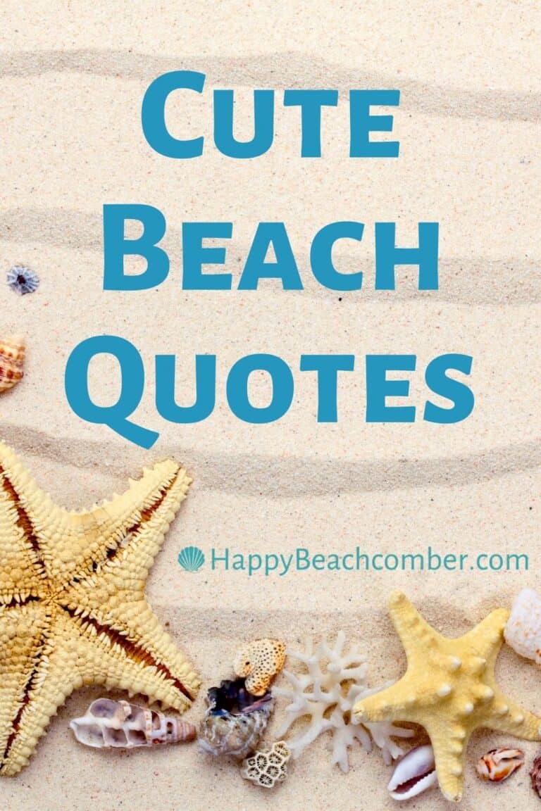 Cute Beach Quotes - Fun Sayings About Life at the Beach