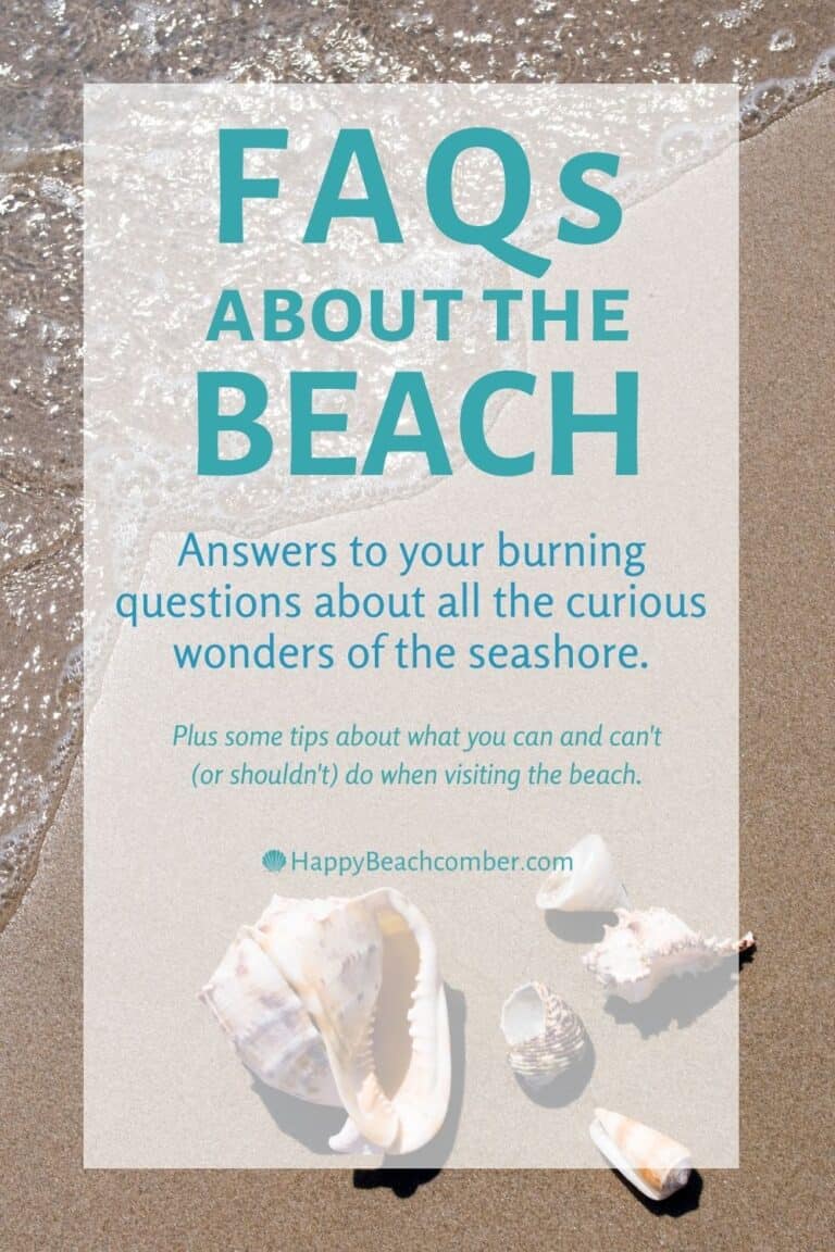 FAQs About the Beach - The Quick Answers