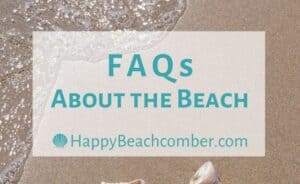 What is a Beachcomber? [Think you know? The answer may surprise you!]