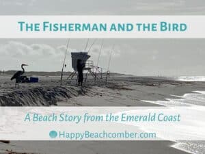 The Fisherman and the Bird - Beach Story from the Emerald Coast